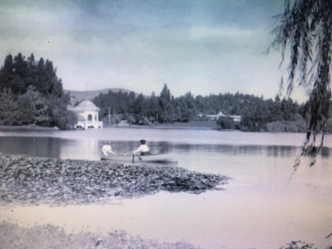 The Lights of Lincoln Park – Friends of the Limberlost